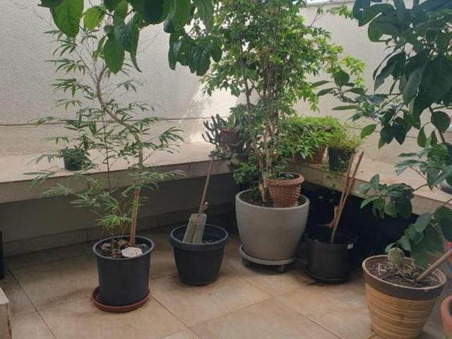 Apartamento, Ipiranga, Sp, SP