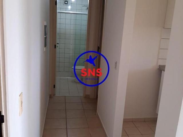 Apartamento, Jardim Antonio Von Zuben, Campinas, SP