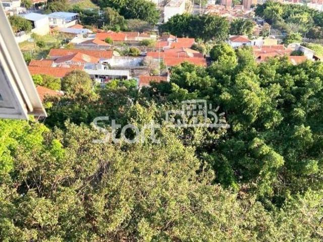 apartamento Jardim Aero Continental Campinas