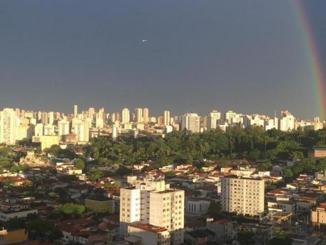 Apartamento, Jardim da Gloria, Sp, SP