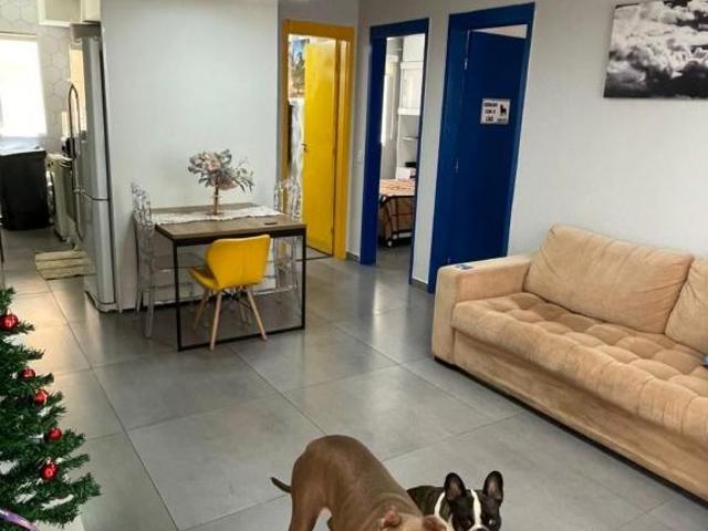 Apartamento, Jardim da Laranjeira zona Leste, São Paulo, SP