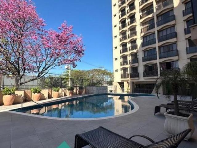 Apartamento, Jardim das Paineiras, Campinas, SP
