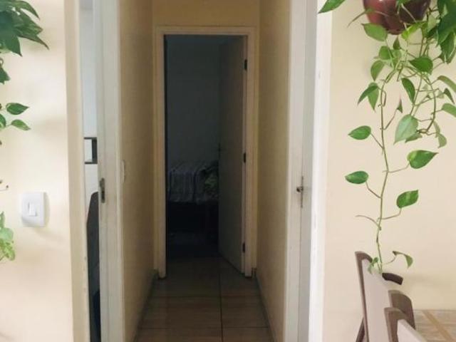 Apartamento, Jardim Elizabete, Taboão da Serra, SP