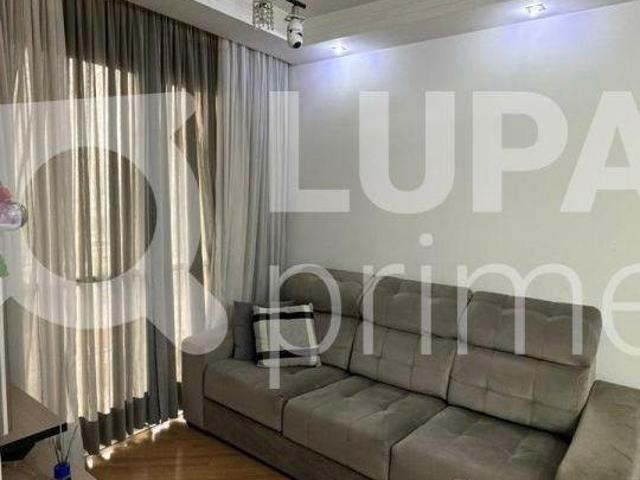 Apartamento, Jardim Japão São Paulo