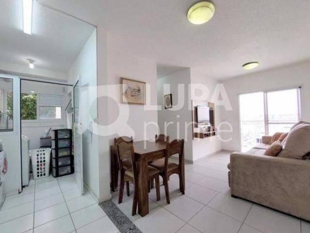 Apartamento, Jardim Modelo São Paulo