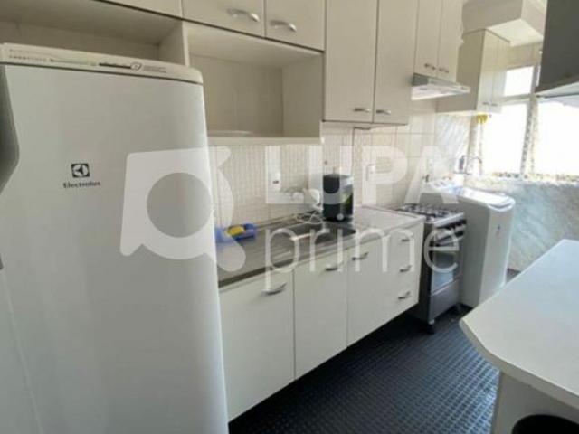 Apartamento, Jardim Maristela São Paulo