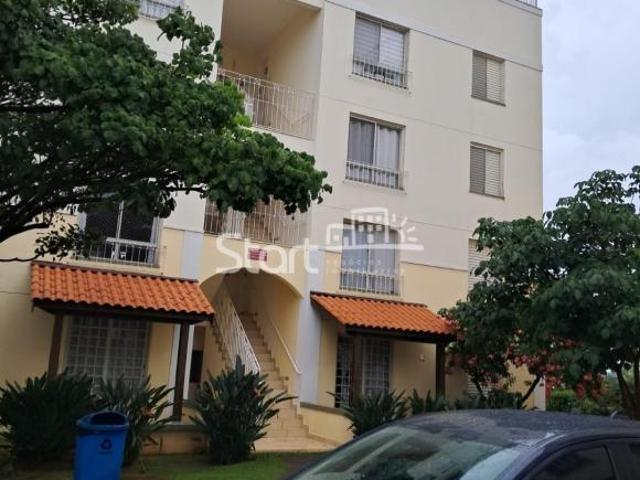 apartamento Jardim Nova Europa Campinas