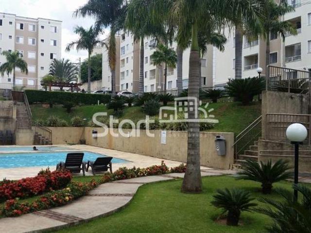 apartamento Jardim Nova Europa Campinas