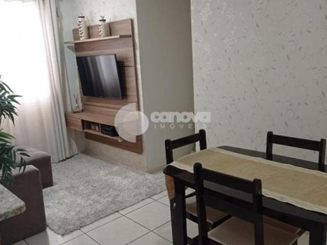 Apartamento, Jardim Nova Europa, Campinas, SP