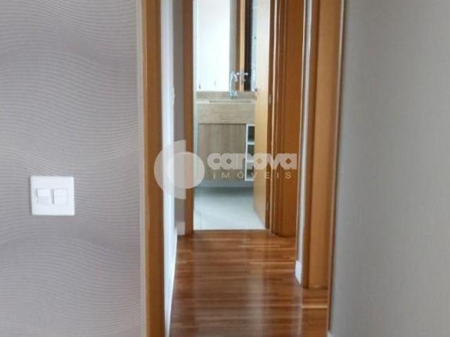 Apartamento, Jardim Novo Campos Elíseos, Campinas, SP