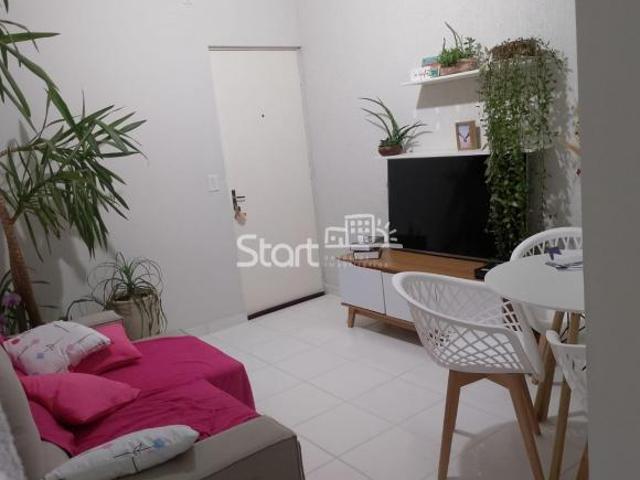apartamento Jardim Santa Maria Nova Veneza Sumaré