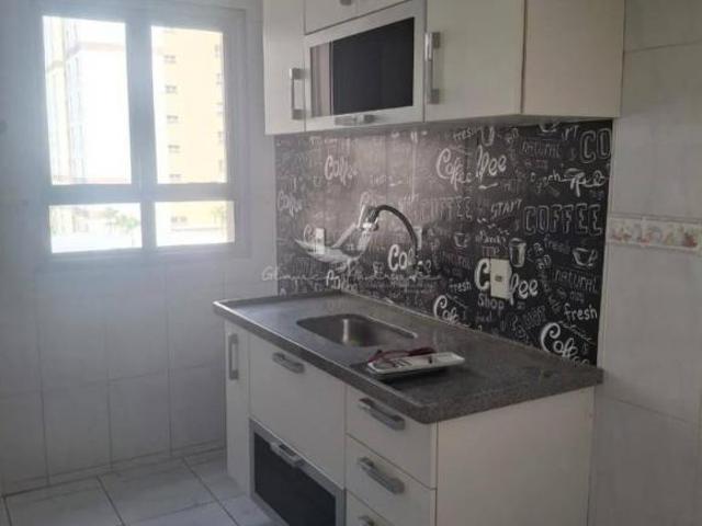 Apartamento, Jardim Shangai, Jundiaí, SP