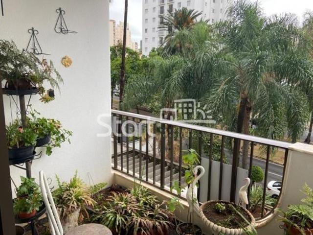 apartamento Jardim Proença Campinas