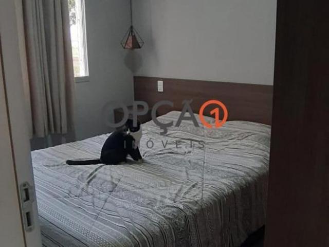 Apartamento, Jardim Terramérica III, Americana, SP