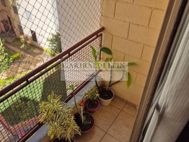 Apartamento, Jd Europa, Campinas, SP
