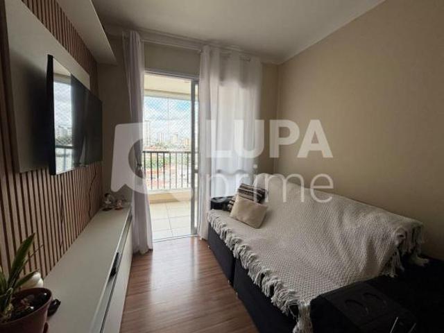 Apartamento, Lauzane Paulista São Paulo