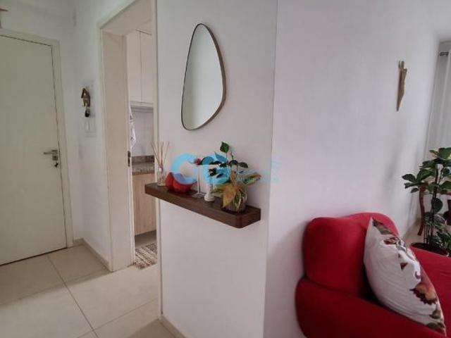 Apartamento, Loteamento Inocoop, Mogi Mirim, SP