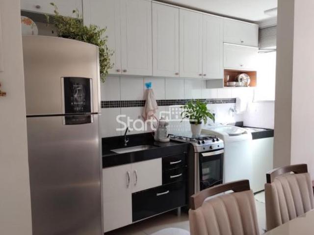 apartamento Loteamento Parque São Martinho Campinas
