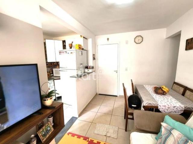 apartamento Loteamento Parque São Martinho Campinas