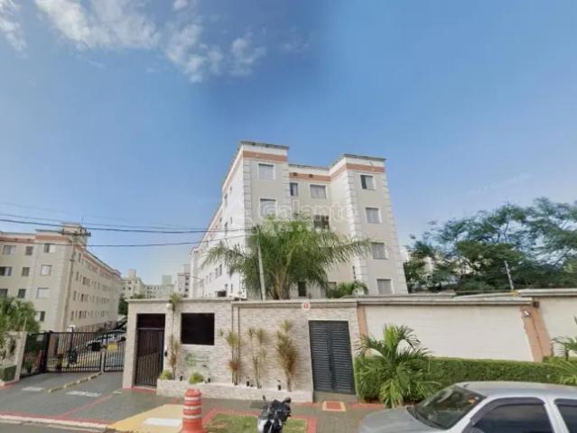 Apartamento Loteamento Parque São Martinho Campinas