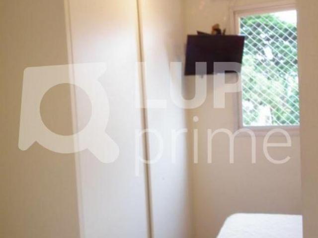 APARTAMENTO MANDAQUI