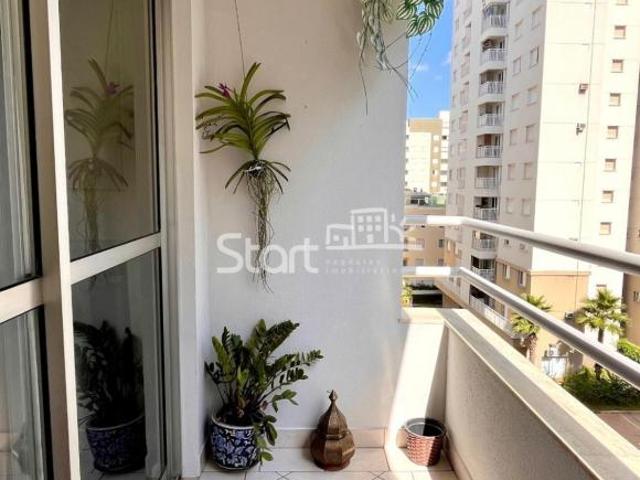 apartamento Mansões Santo Antônio Campinas