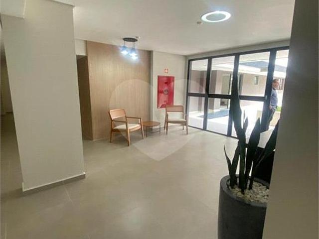 Apartamento Mercês 3 Dormitórios 3 Suítes 3 Vagas Face Norte