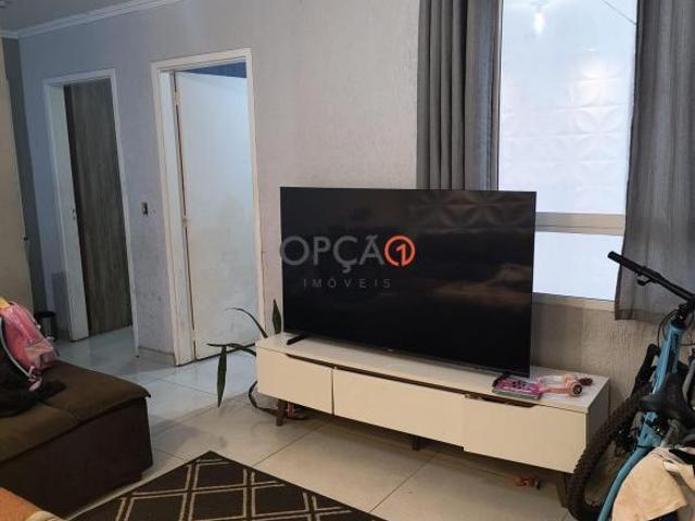Apartamento, Monte das Oliveiras, Nova Odessa, SP