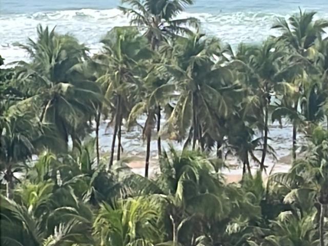 Apartamento Mobiliado e DecoradoSalvador