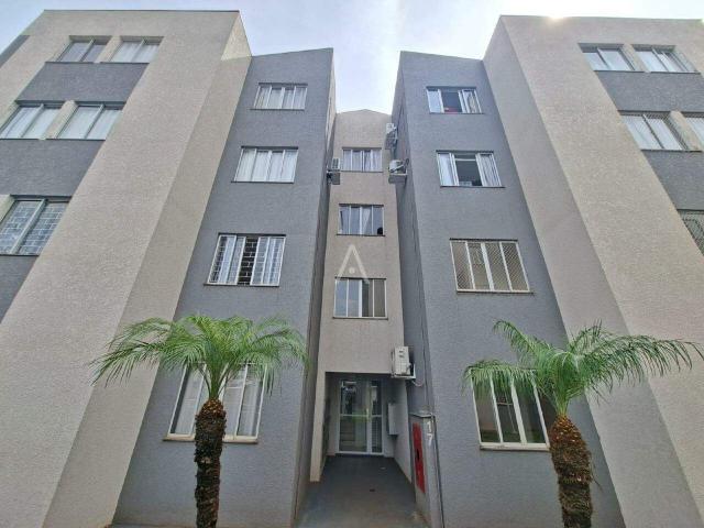 Apartamento mobiliado para locação no Cancelli em Cascavel Pr