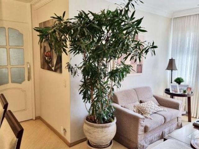 Apartamento, Moema, São Paulo, SP