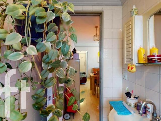 Apartamento no Brás em São Paulo SP código 48005