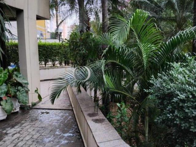 Apartamento no Cambuí | 132 m² | 3 Dormitórios