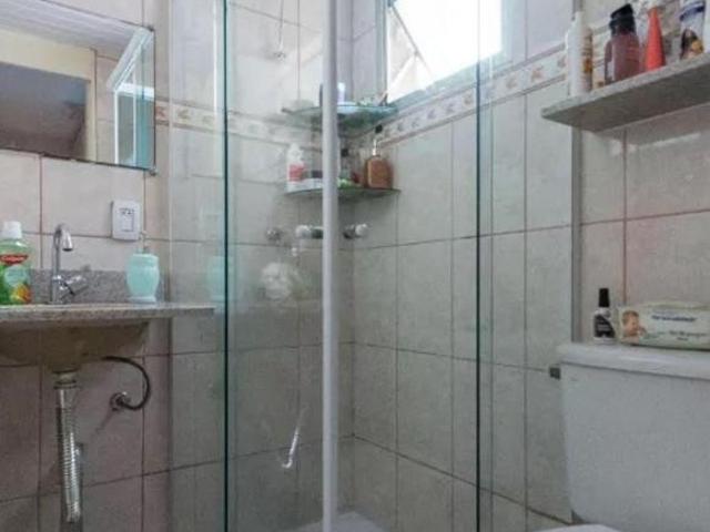 Apartamento no Jardim Casa Pintada em São Paulo SP código 51152