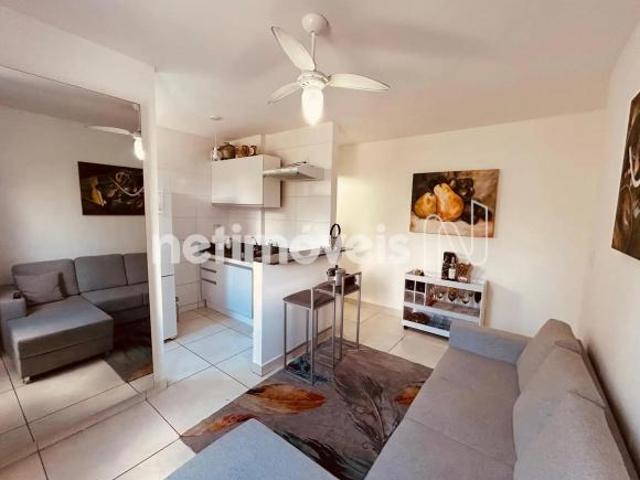 Apartamento no ouro preto