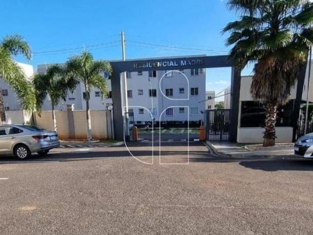 Apartamento no Parque Madri · 2 Quartos · Vila Maria, Marília