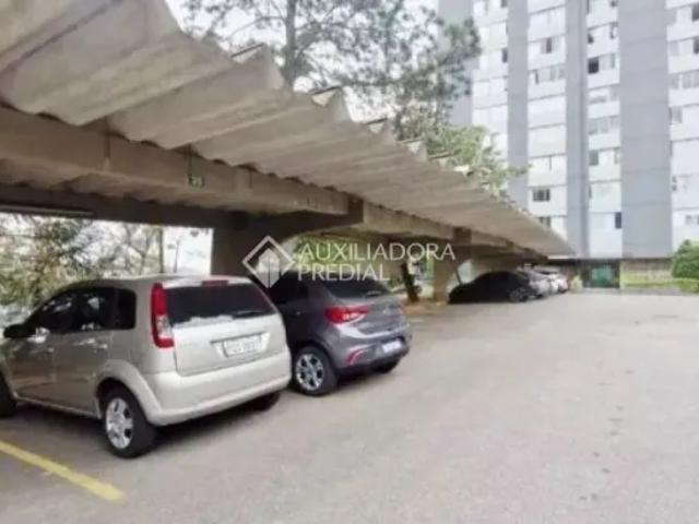 Apartamento no Parque Terra Nova São Bernardo