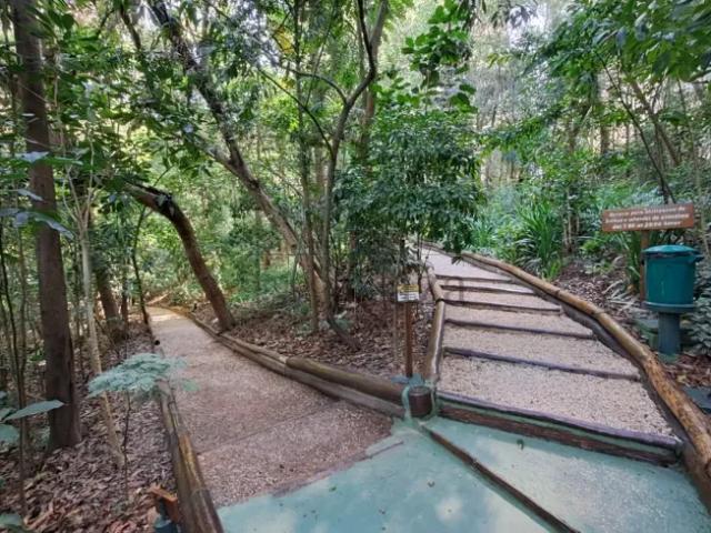 Apartamento Panamby 1 Suíte 105m²