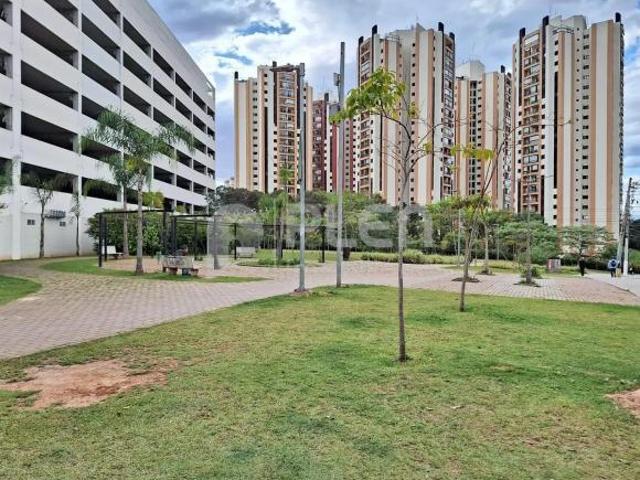 Apartamento padrão à Venda, Jardim Íris, São Paulo, SP