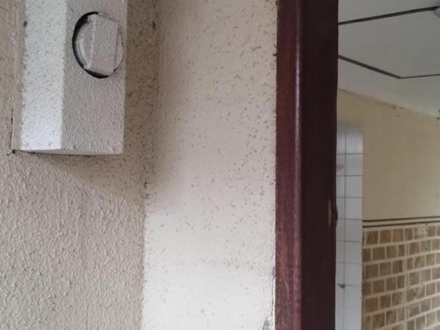 Apartamento Padrão em Conjunto Residencial Elisio Teixeira Leite São Paulo