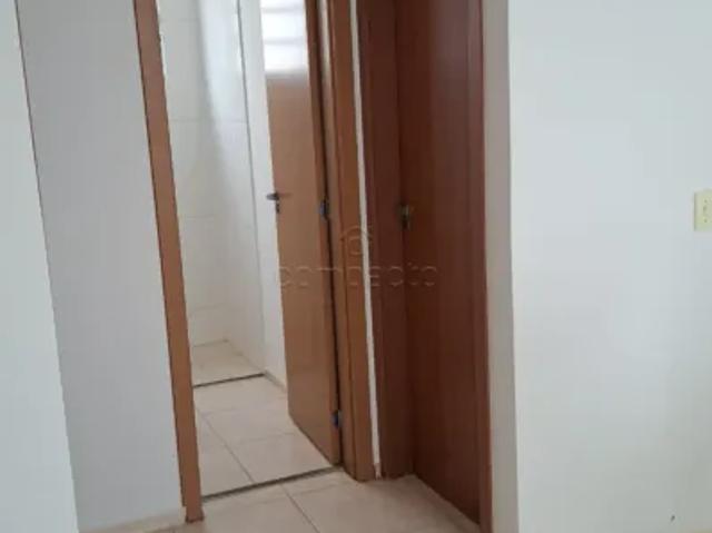 Apartamento Padrão em São José do Rio Preto