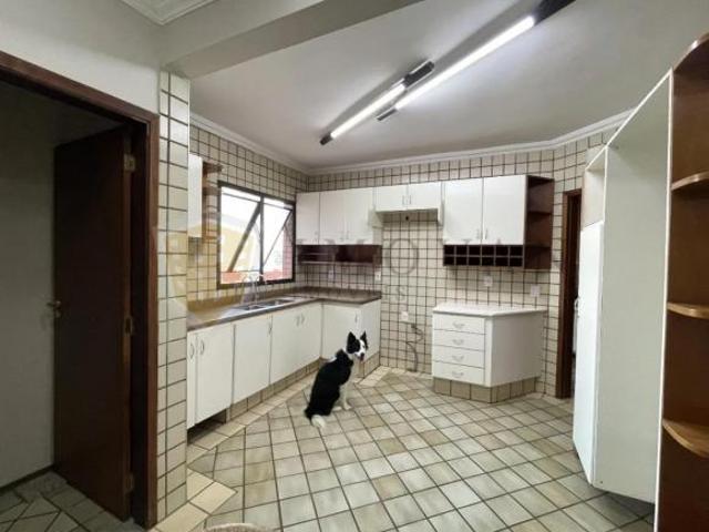 Apartamento Padrão em Ribeirão Preto