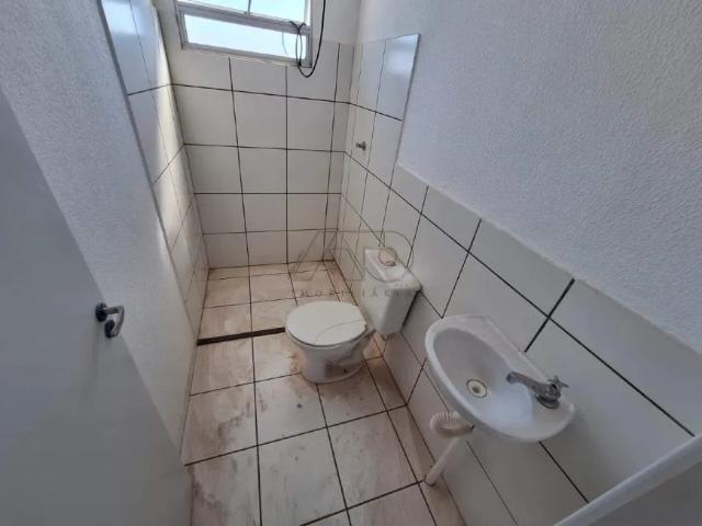 Apartamento para aluguel, 2 quartos, 1 vaga, VILA SONIA PIRACICABA/SP