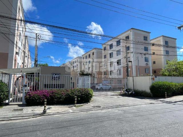 Apartamento para aluguel com 2 quartos em Cosmos com 44m²