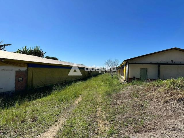 Apartamento para Alugar,, 2400m² área util, R$ 3.000 | PI: 3167529