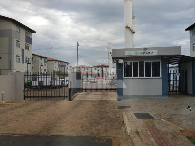 Apartamento para Alugar, Uvaranas, Ponta Grossa, 50m² área util, R$ 1.400 | PI: 3497726