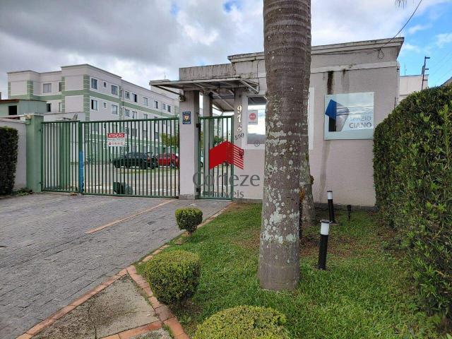 Apartamento para Alugar, Afonso Pena, São José dos Pinhais, 51m² área util, R$ 1.300 | PI: 3471446