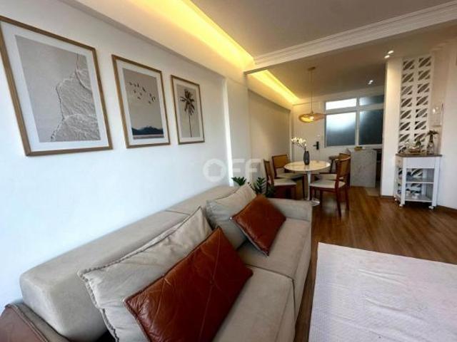 Apartamento para alugar Cambuí, Campinas SP