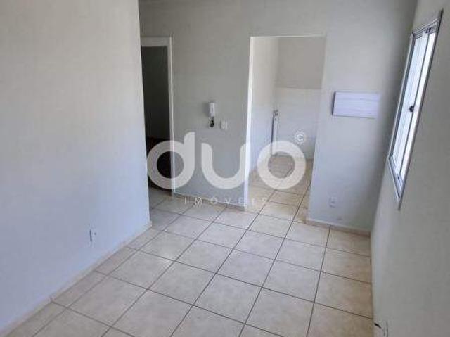 Apartamento para alugar, Campestre Piracicaba/SP
