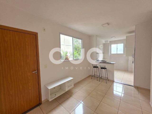 Apartamento para alugar, Campestre Piracicaba/SP